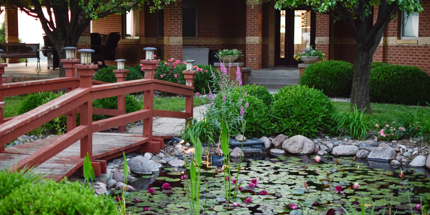 Prairie Surprise – Central Kansas Lawn & Garden Blog